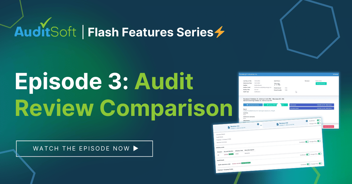 Audit Review Tools | AuditSoft